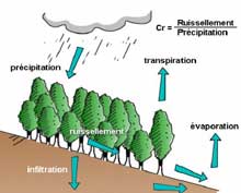 Coefficient de ruissellement | SIDESA